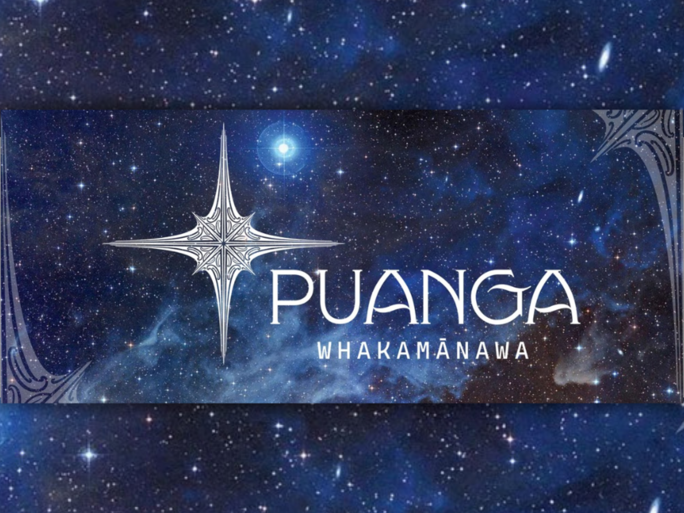 Palmerston North City Library | Passport to Puanga Prize!