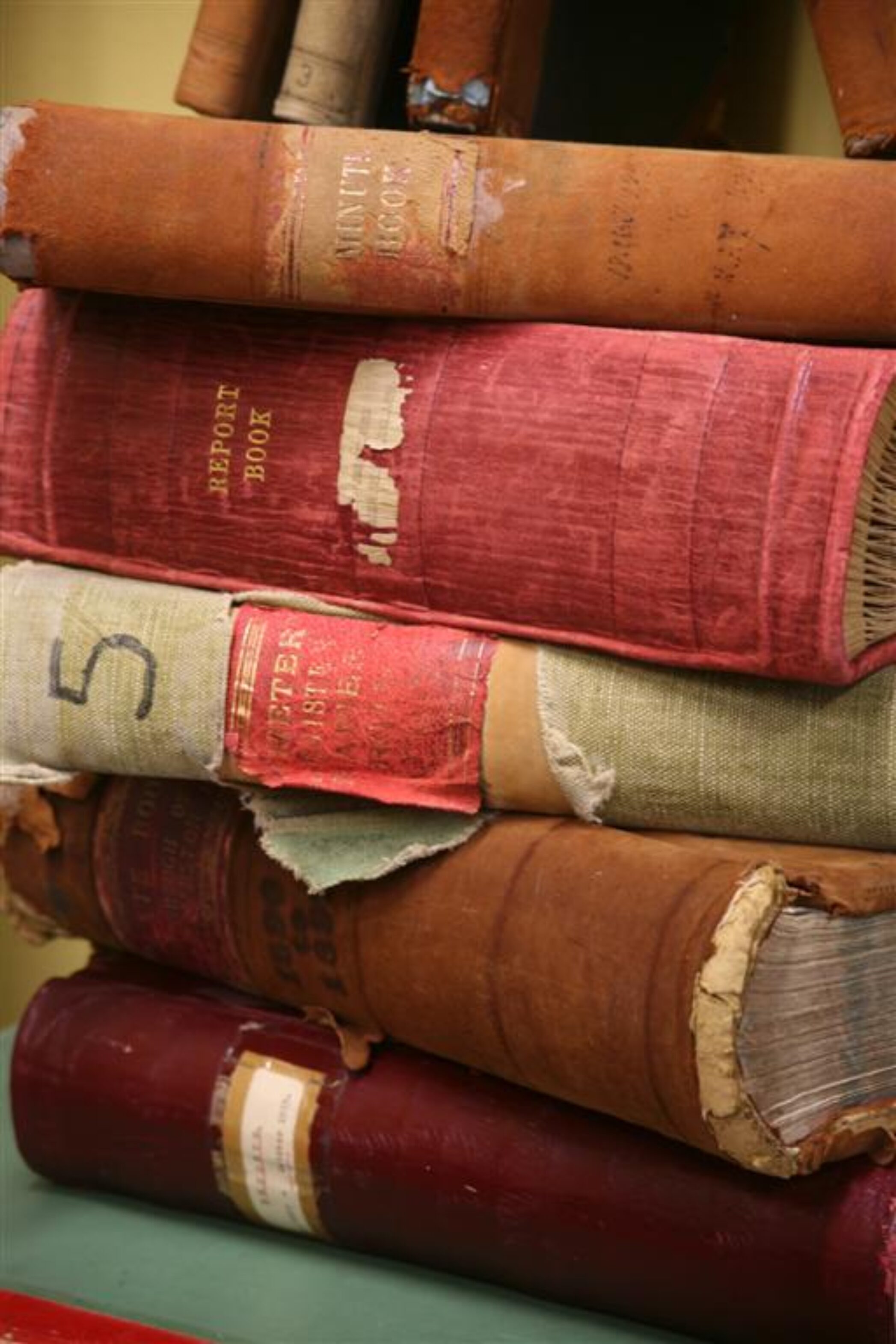 Palmerston North City Library | Digital Resources