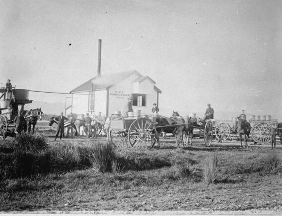 Palmerston North City Library | Ashhurst Library