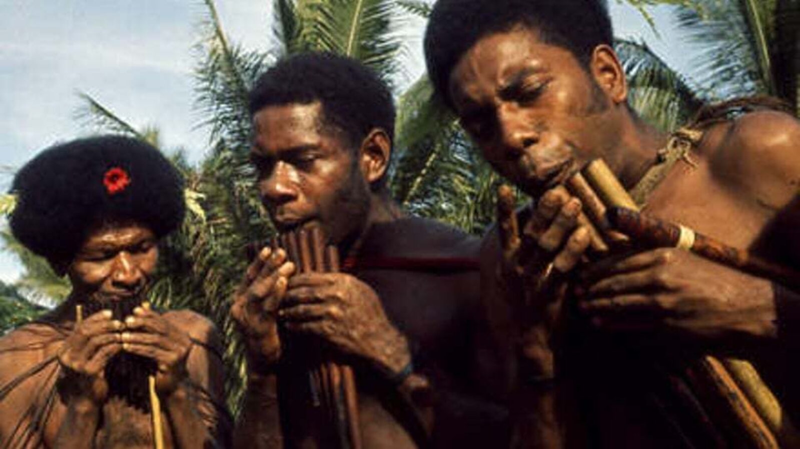 Palmerston North City Library | Home