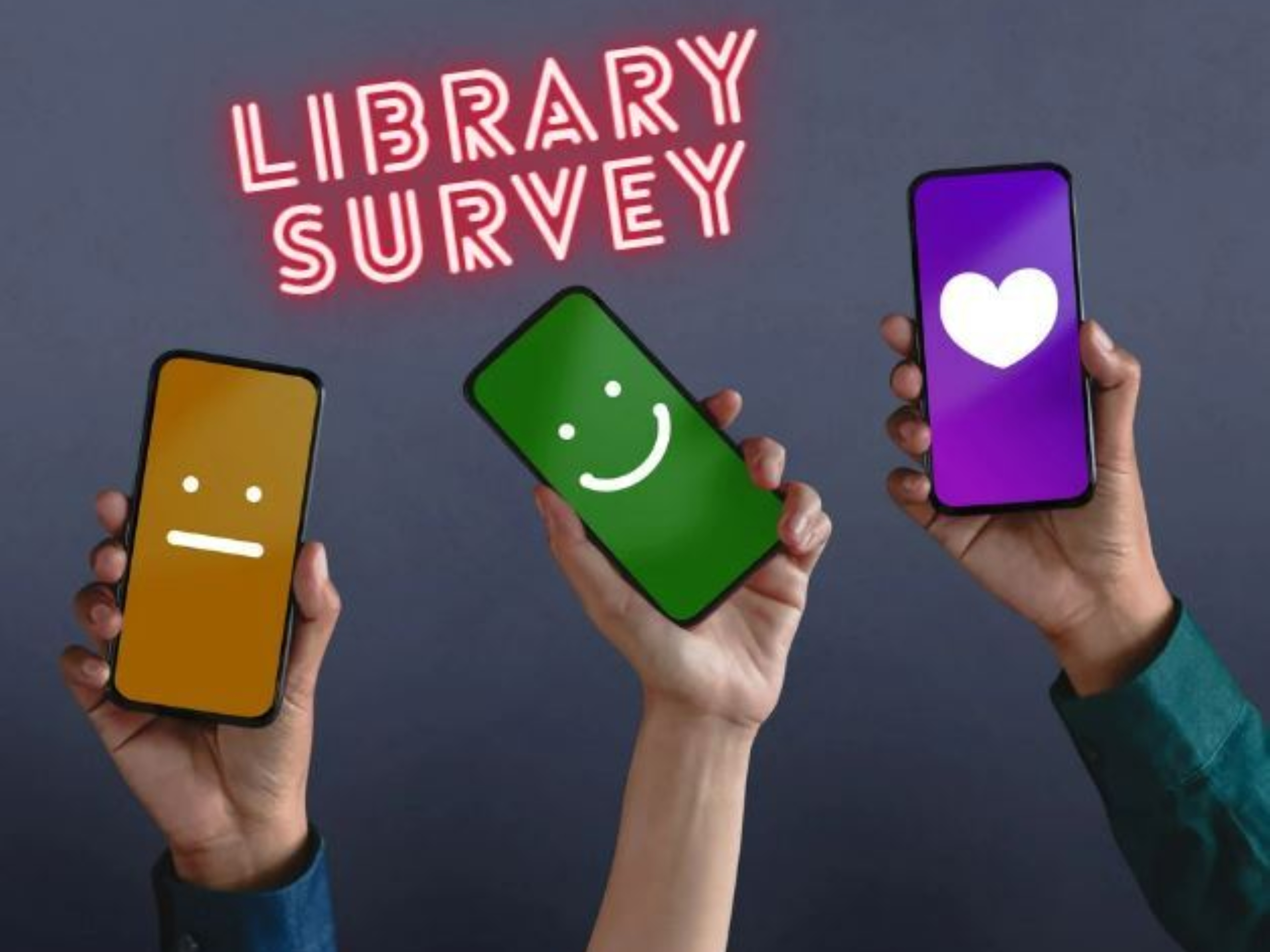 Palmerston North City Library | Library Survey