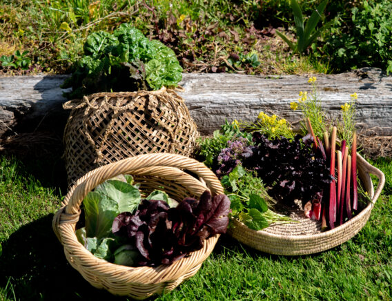 Palmerston North City Library | Awapuni Library